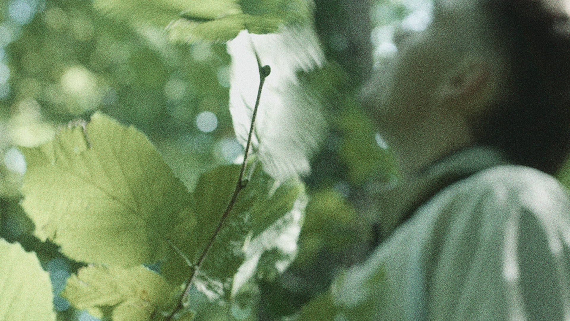 Nature of Sound